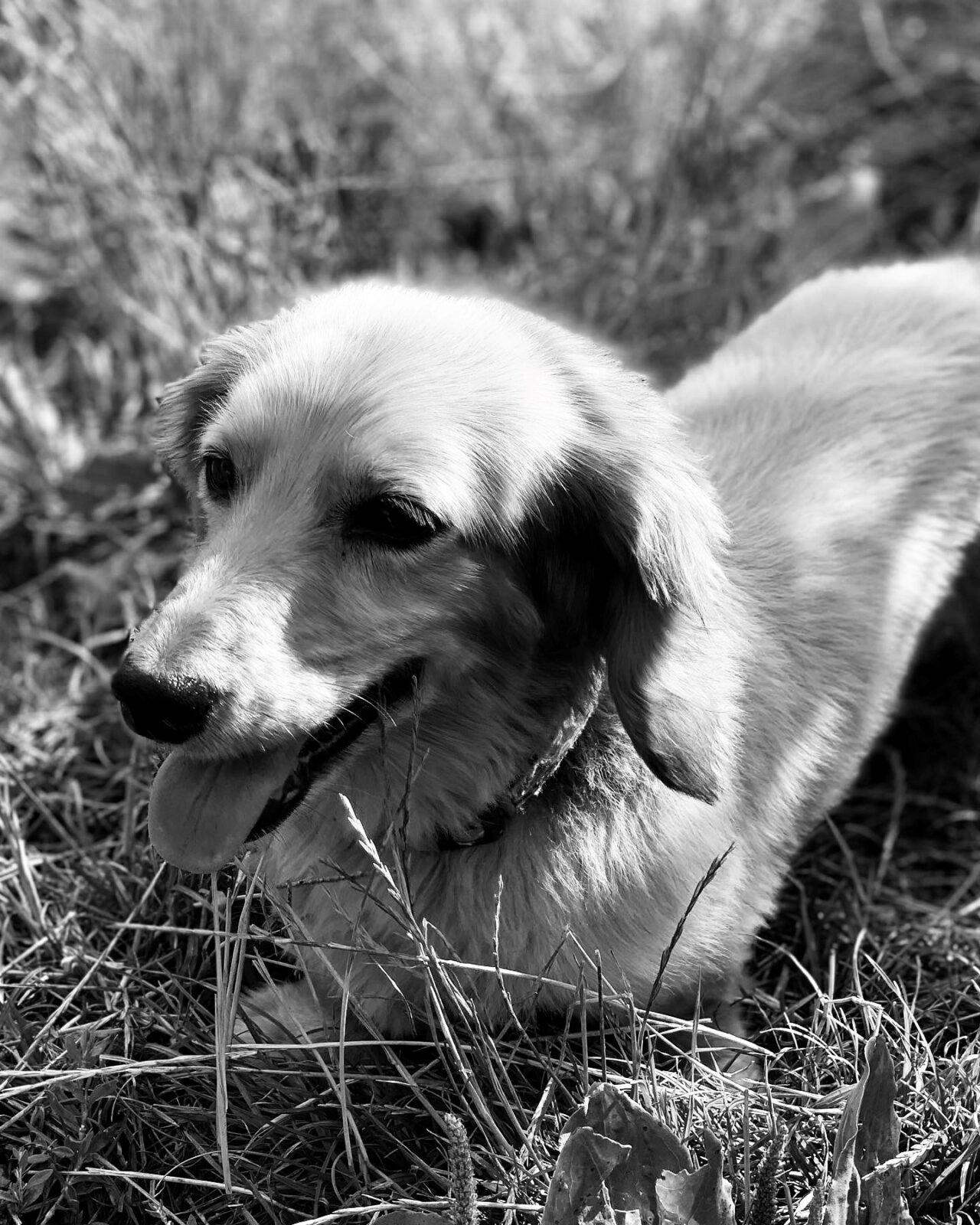 Team - Alex D Architects Limited